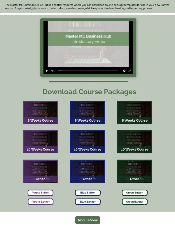 Master MC Criminal Justice Hub | Genially