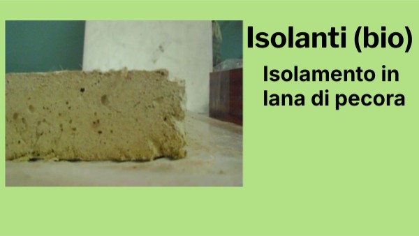 Isolanti (bio) | Genially