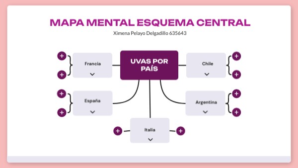 MAPA MENTAL ESQUEMA CENTRAL | Genially