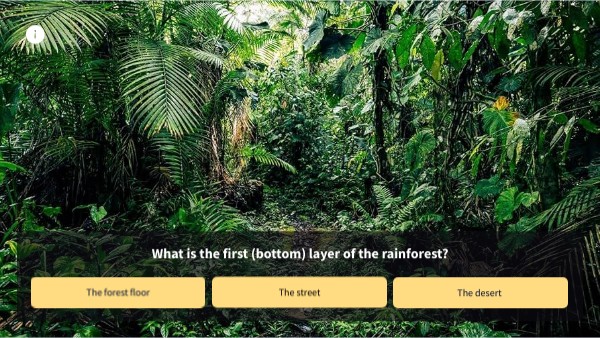 What is the first (bottom) layer of the rainforest? | Genially