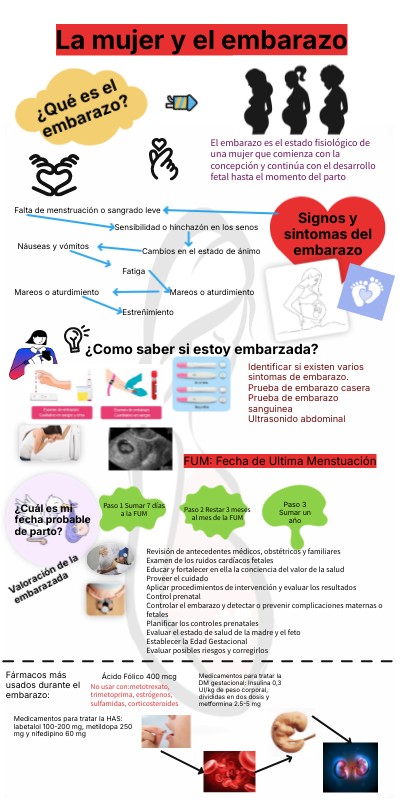 La mujer y el embarazo | Genially