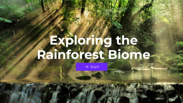 Exploring the Rainforest Biome | Genially
