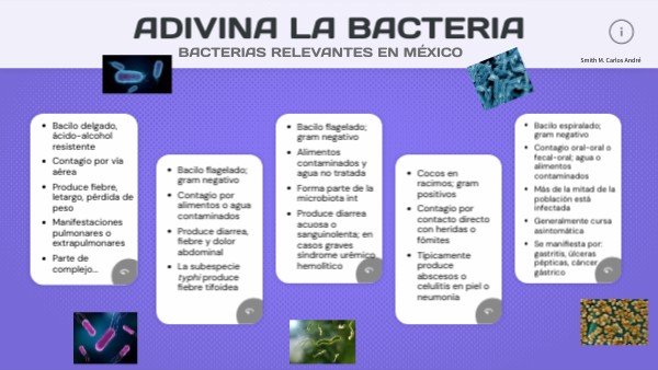 Adivina la Bacteria de Importancia en México | Genially
