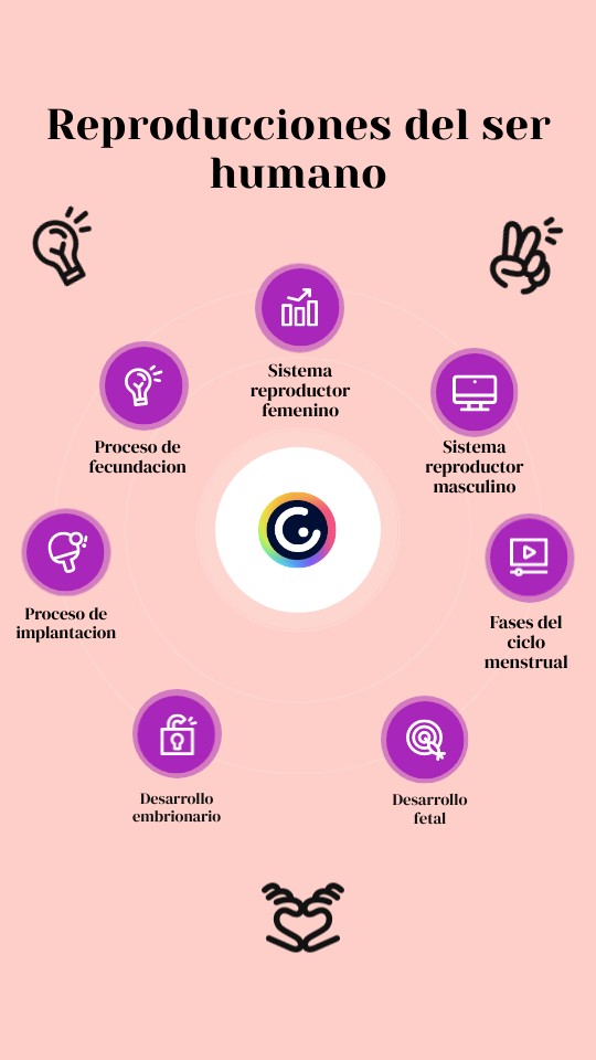 Reproducciones del ser humano | Genially