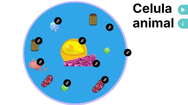 Celula animal | Genially