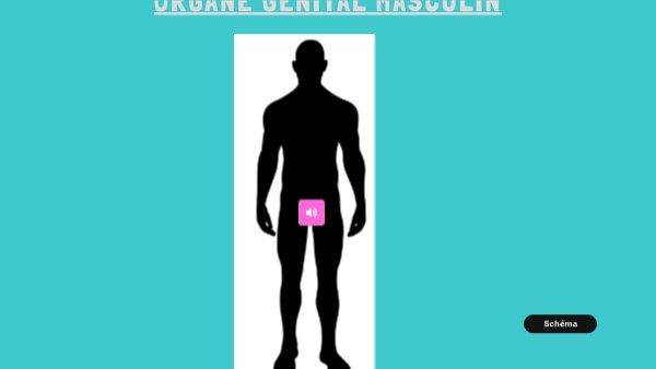 Sexscape Game Genially 2906