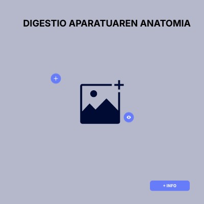 DIGESTIO APARATUAREN ANATOMIA | Genially