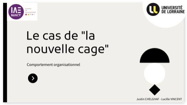 Le cas de "la nouvelle cage" | Genially