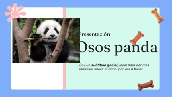 Osos panda | Genially