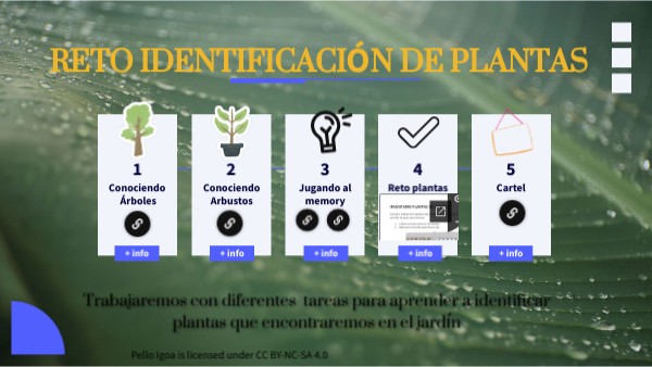RETO IDENTIFICACIÓN DE PLANTAS | Genially