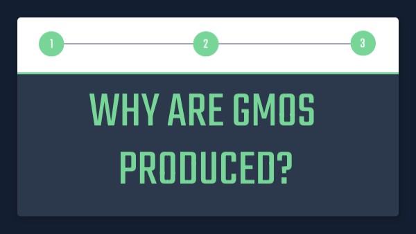 Why Are GMOs produced? | Genially