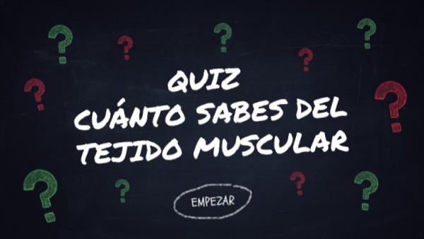 Preguntas práctica 7 | Genially