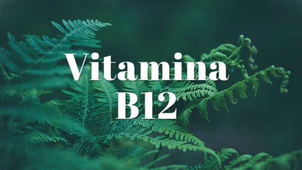 Vitamina B12 | Genially