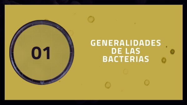 PRESENTACIÓN BACTERIAS | Genially