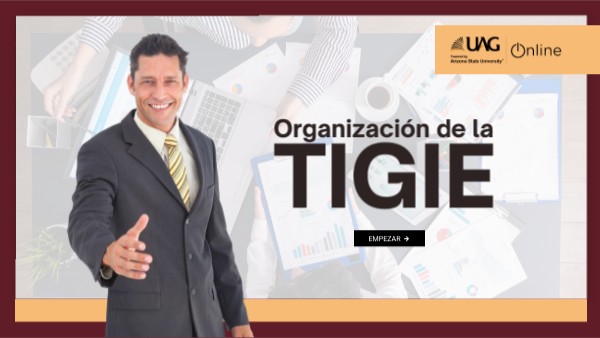 U4R5 Organización de la TIGIE | Genially