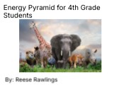 Energy Pyramid for 4th Grade Students | Genially
