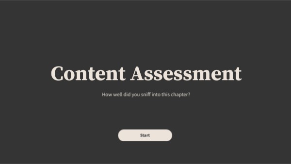Copy - Content Assessment 3 | Genially