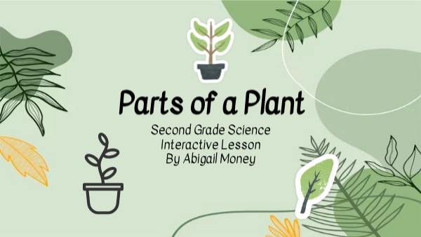 Parts of a Plant | Genially