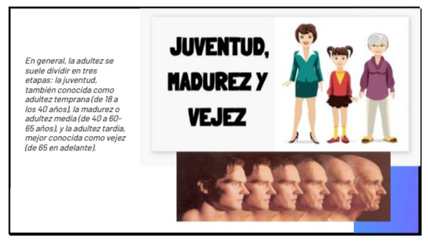 En general, la adultez se suele dividir en tres etapas: la juventud, también conocida como ...