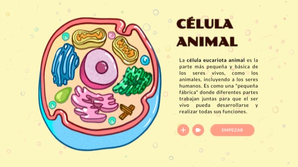 Célula animal | Genially