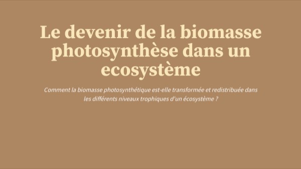 Diapo SVT biomasse phtsynth | Genially