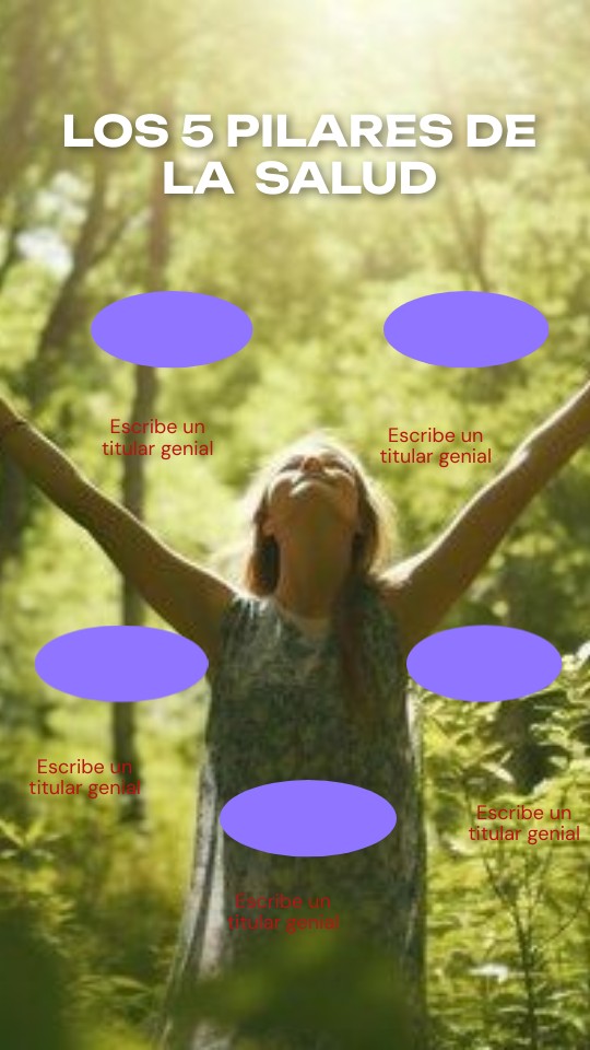 LOS 5 PILARES DE LA SALUD | Genially