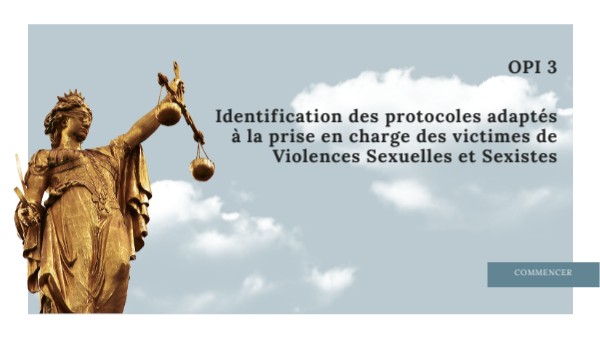 Identification des protocoles adaptés à la prise en charge des victimes de Violences Sexuelles ...