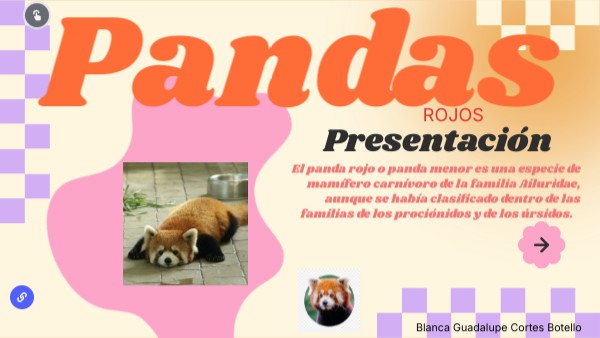 Pandas | Genially