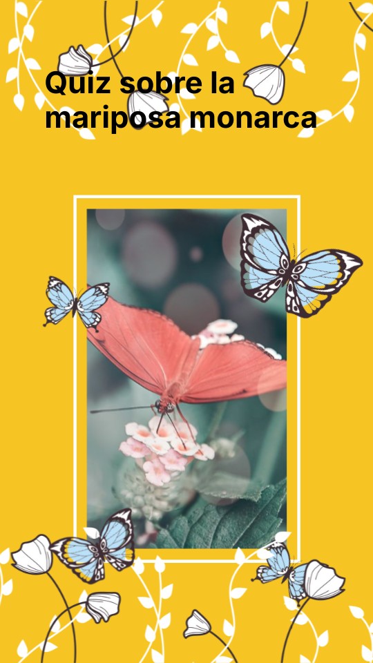 Quiz sobre la mariposa monarca | Genially