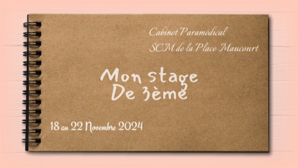 Mon stage De 3ème | Genially