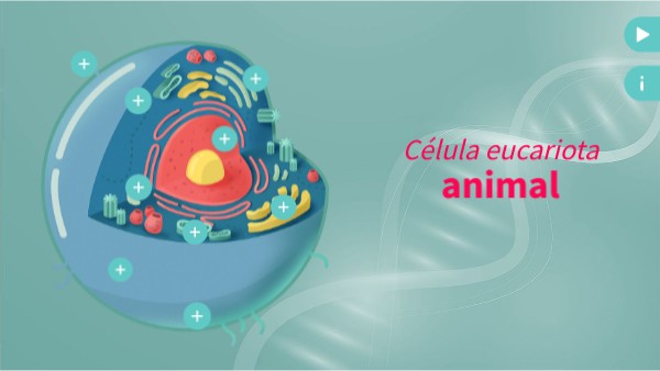 Célula procariota animal | Genially
