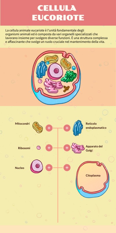 Cellula eucariote | Genially