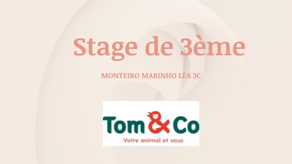 Stage de 3ème | Genially