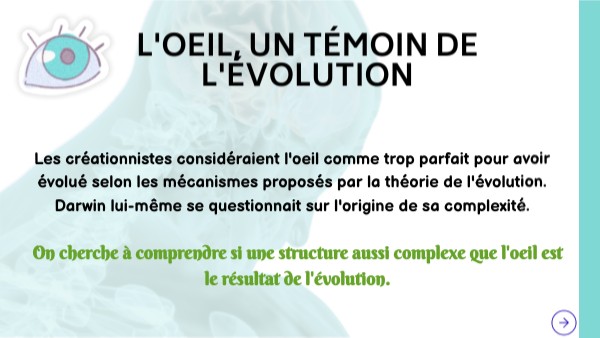 L'oeil, un témoin de l'évolution | Genially
