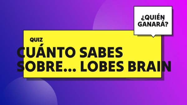 cuánto sabes sobre... Lobes brain | Genially