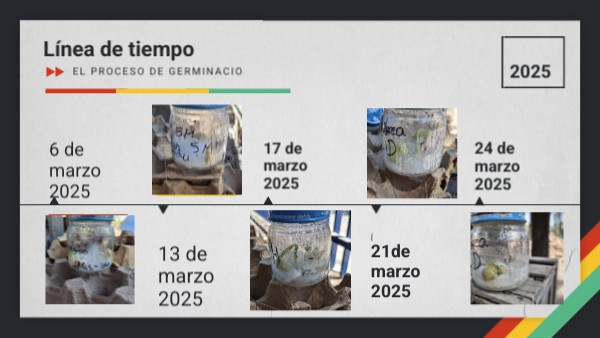 Línea de tiempo | Genially