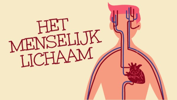 Het menselijk lichaam | Genially