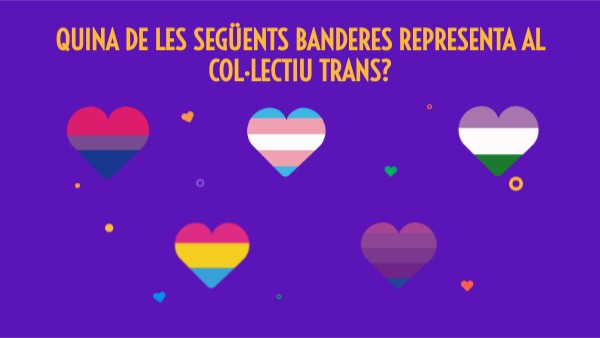 NdD_Visibilitat trans (CAT) | Genially