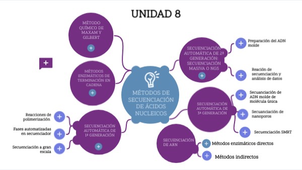UNIDAD 8 | Genially