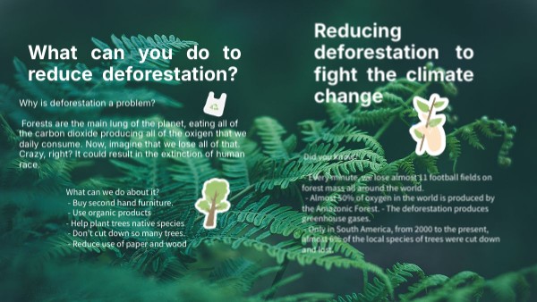 What can you do to reduce deforestation? | Genially