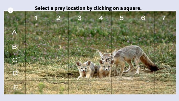 Predatory-Prey Game | Genially