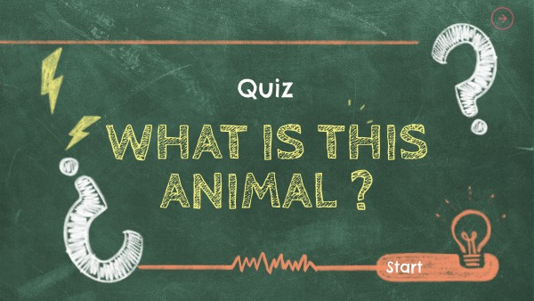 what is this animal ? | Genially