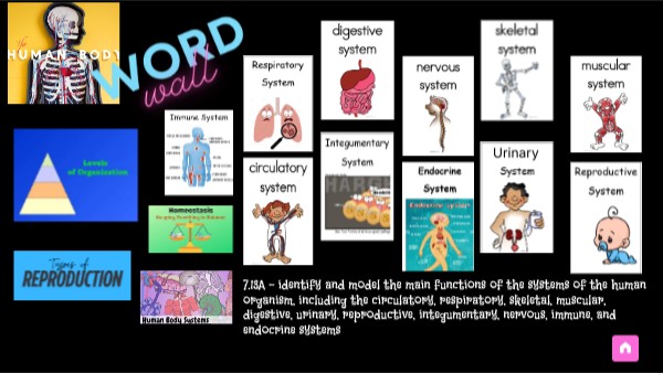 Copy - Unit 9 Word Wall | Genially