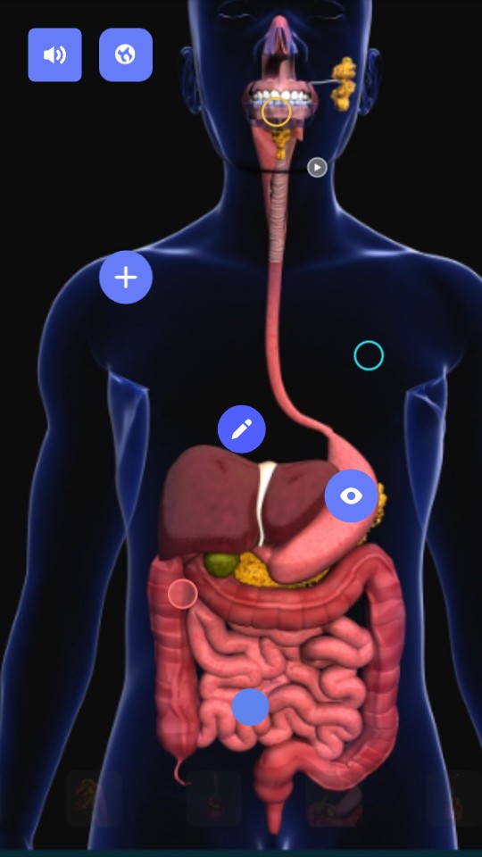 Imagen interactiva de prueba | Genially