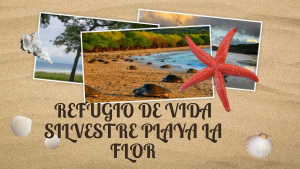 REFUGIO DE VIDA SILVESTRE PLAYA LA FLOR | Genially