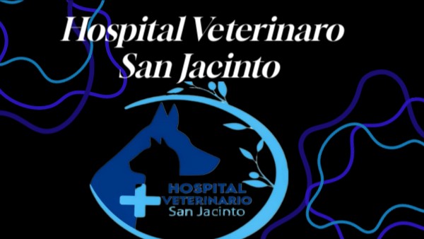 Hospital Veterinaro San Jacito | Genially