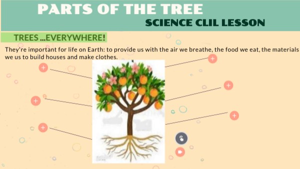 Parts of the TREE | Genially