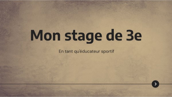 Mon stage de 3e | Genially