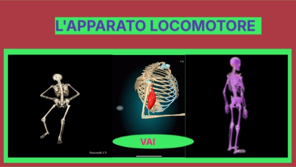 L'APPARATO LOCOMOTORE | Genially