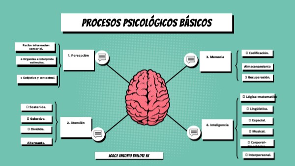 Procesos Psicológicos Básicos | Genially